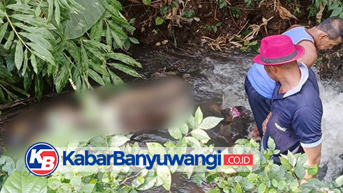 Lansia Pikun Ditemukan Meninggal Dunia di Aliran Sungai Giri Banyuwangi | Portal Kabar Seputar ...