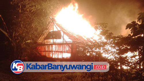 Diduga Tabung Gas Bocor, Kandang Berisi Ribuan Ekor Anak Ayam Ludes Terbakar | Portal Kabar ...