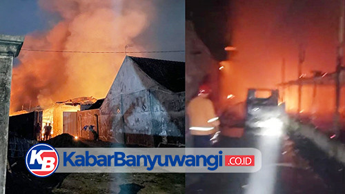 Si Jago Merah Lalap Kandang Ayam di Srono Banyuwangi, Kerugian Capai Rp1,5 Miliar | Portal Kabar ...