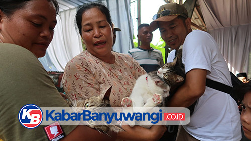 Warga Kluncing Banyuwangi Gelar Hajatan Mewah Rayakan Ultah Kucing ...